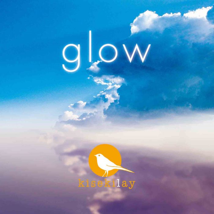 Works -作品紹介- | hosplug